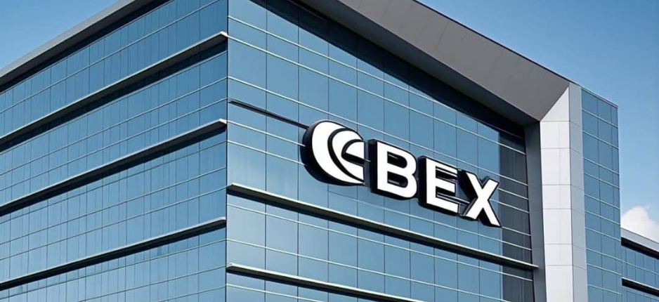 Like BARAZA, CBEX Dupe Nigerians