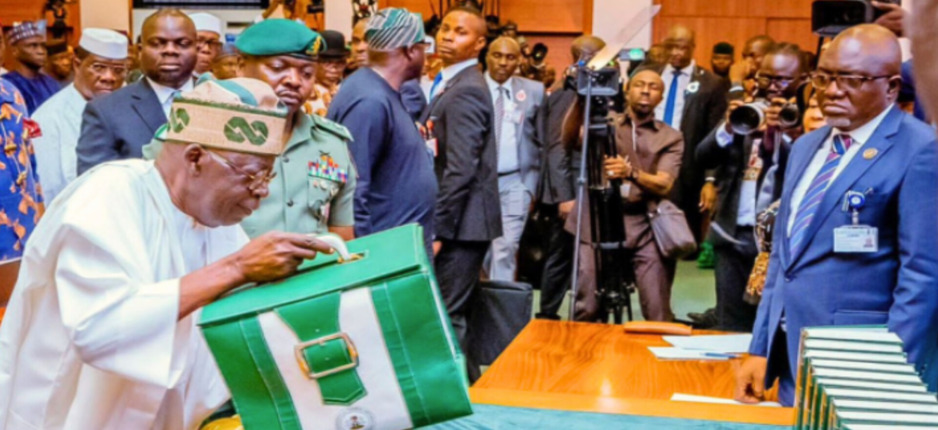 Tinubu's 2025 Budget