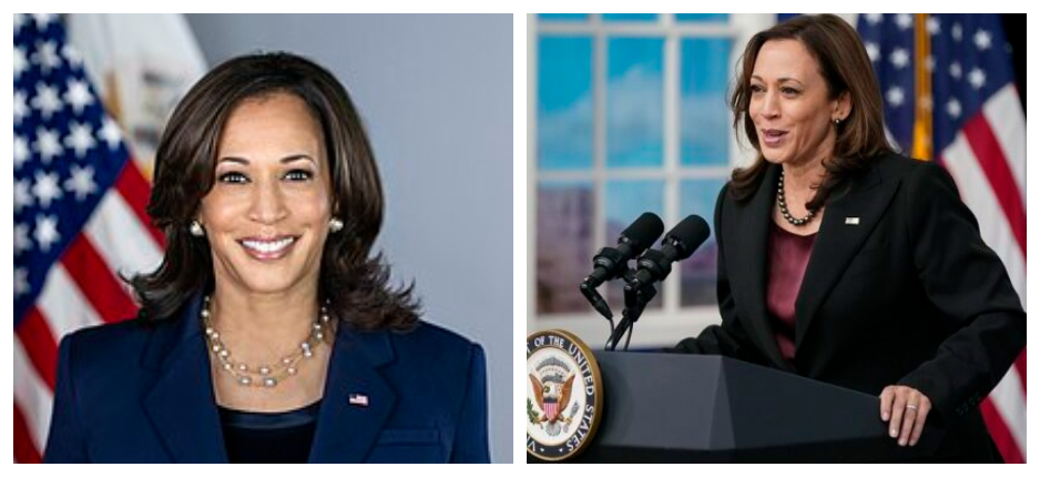 U.S Election 2024: Americans Anticipate First Female President, VP ...